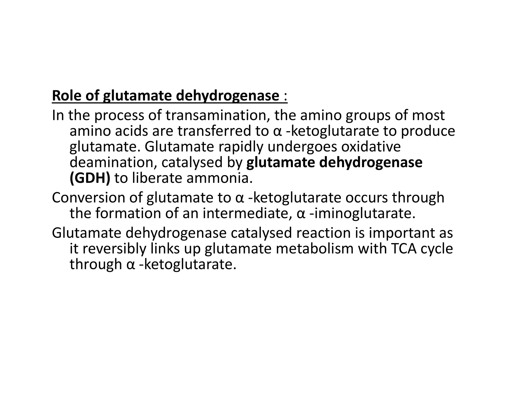 Amino acid metabolism | Transamination | Deamination | | PDF
