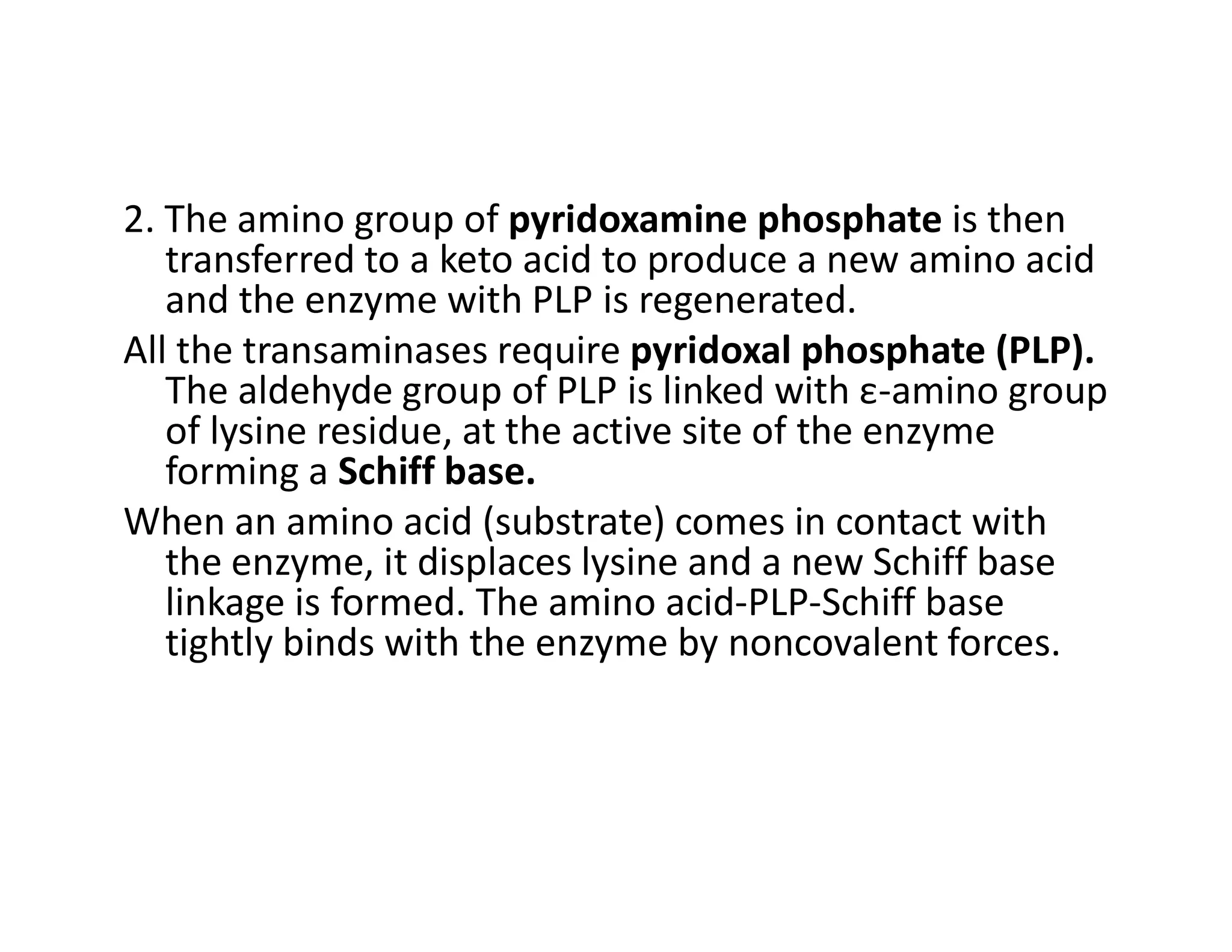 Amino acid metabolism | Transamination | Deamination | | PDF
