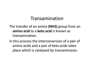Amino acid metabolism | Transamination | Deamination | | PDF
