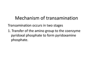 Amino acid metabolism | Transamination | Deamination | | PPT