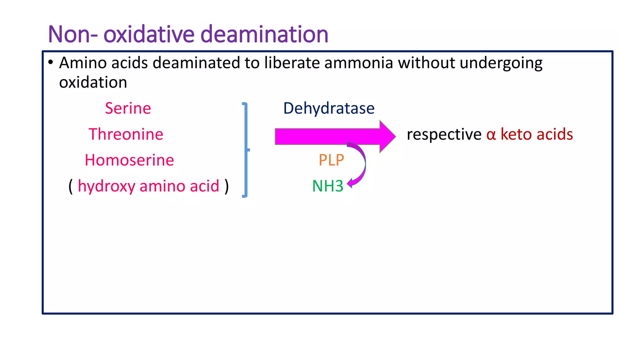 Transamination & deamination | PDF