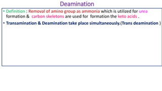 Transamination & deamination | PDF
