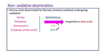 Transamination & deamination | PDF