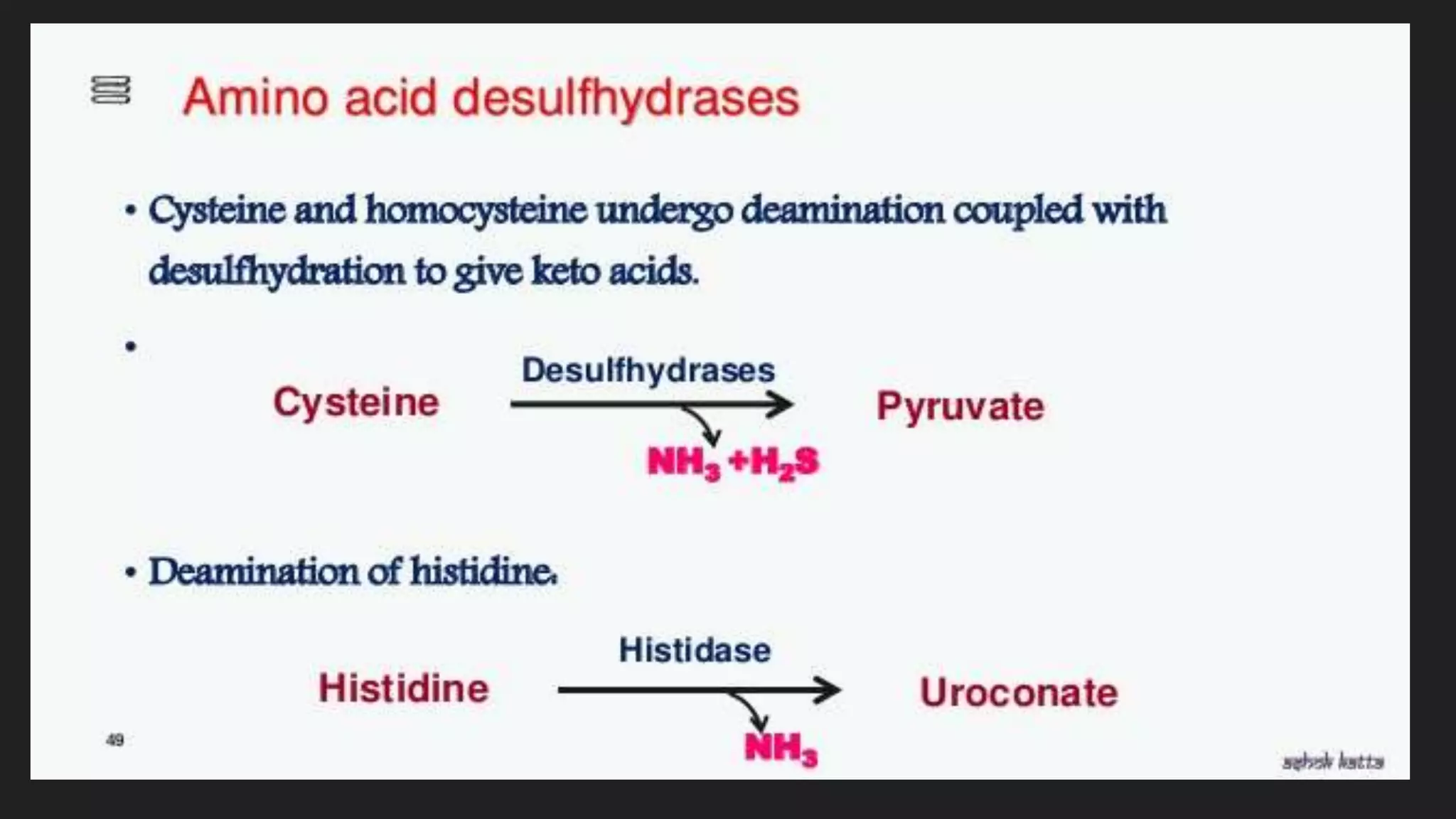 Transamination & Deamination | PPTX