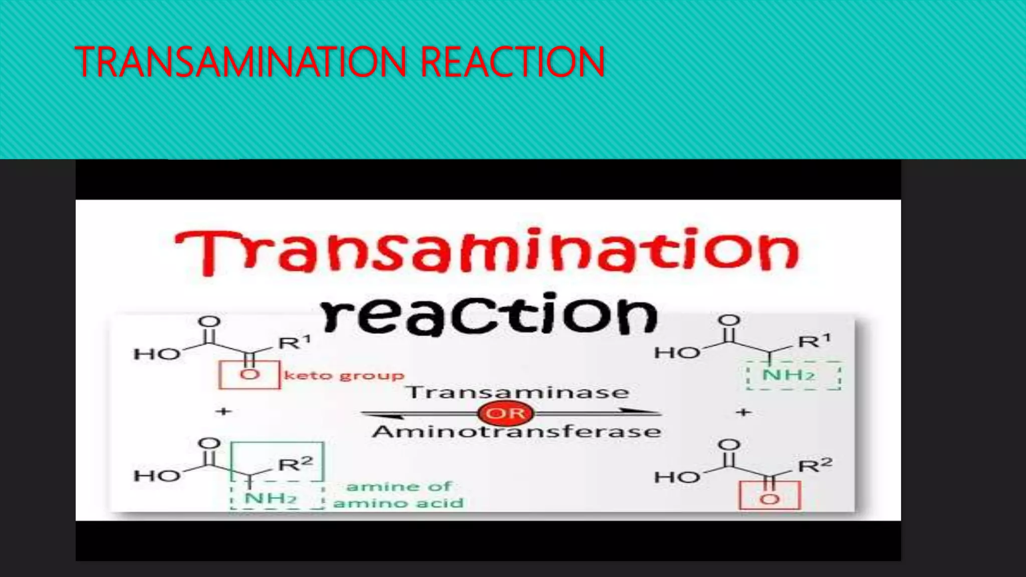 Transamination & Deamination | PPTX