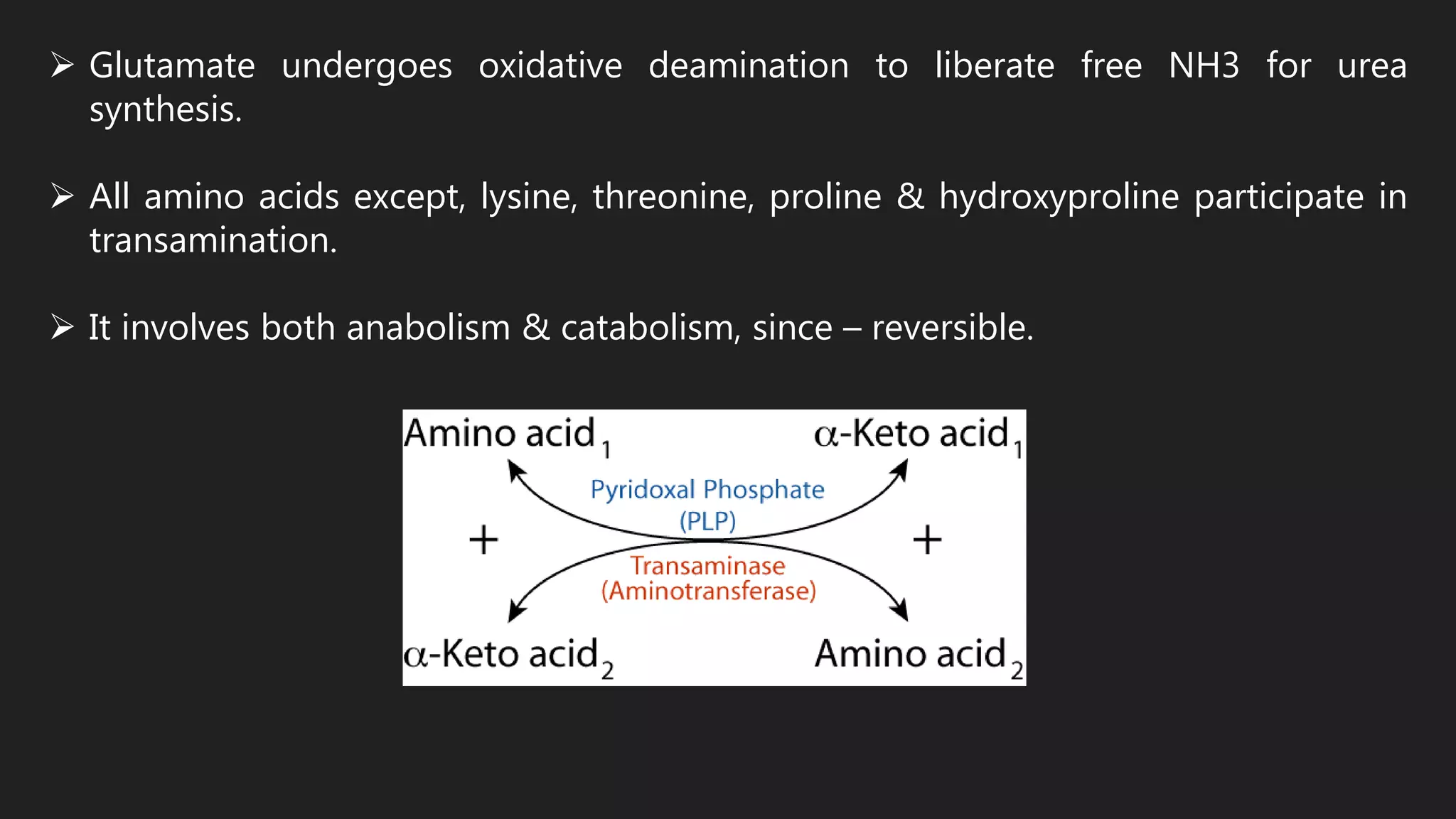 Transamination & Deamination | PPTX