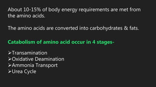 Transamination & Deamination | PPTX