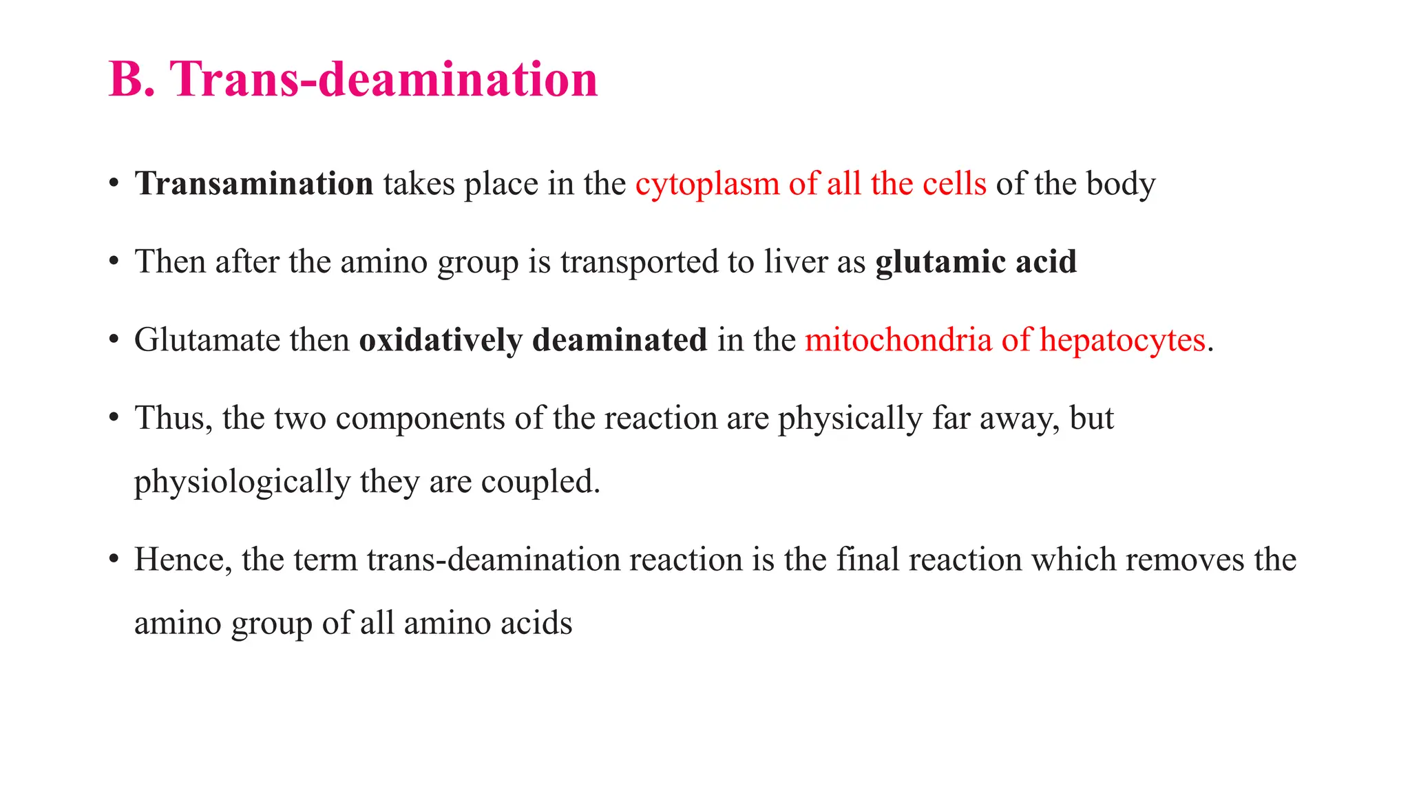 Transamination and urea cycle of protein metabolism.pptx