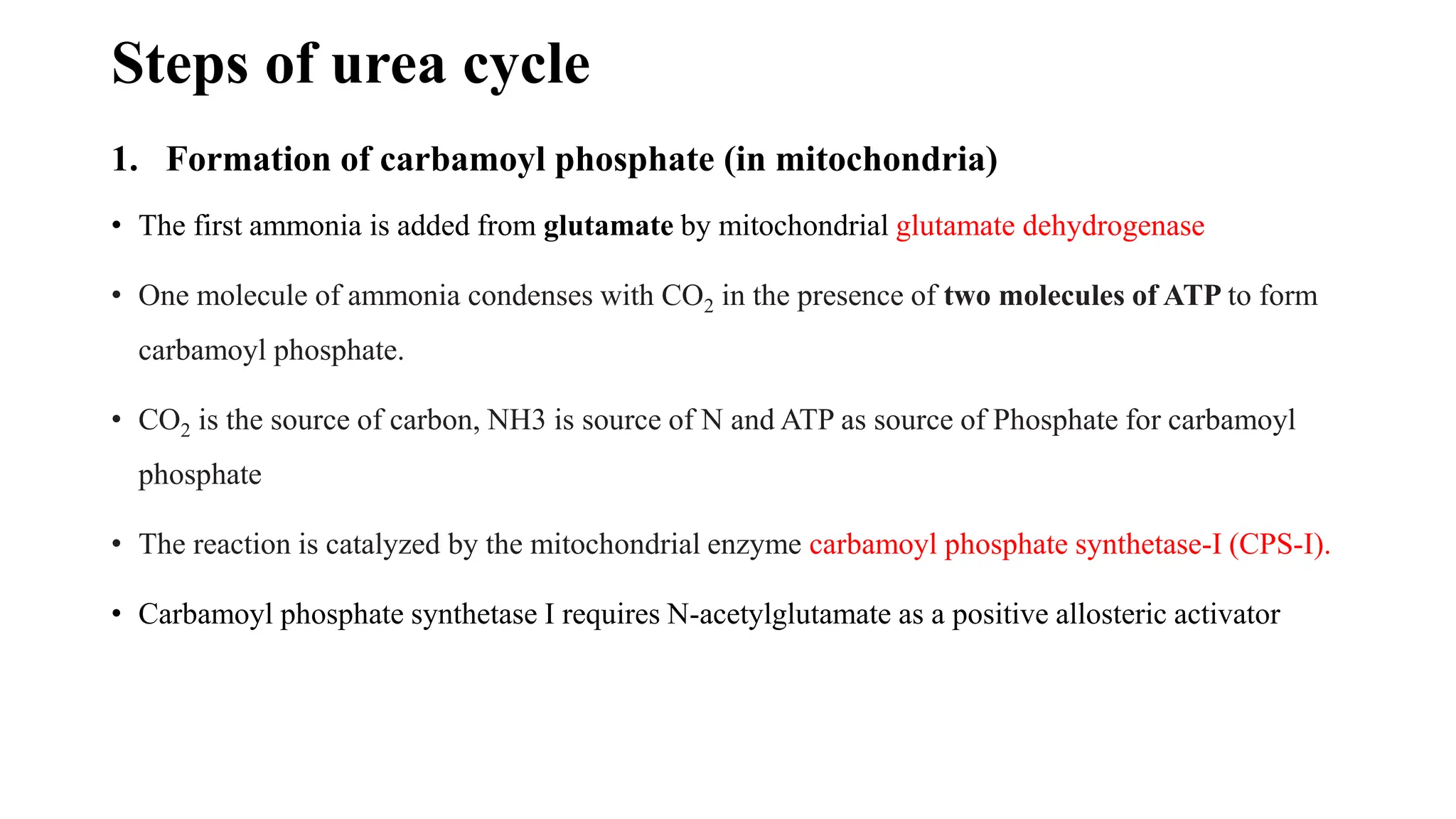 Transamination and urea cycle of protein metabolism.pptx