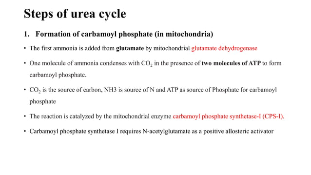 Transamination and urea cycle of protein metabolism.pptx