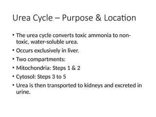 Transamination , Deamination and urea cycle ppt | PPTX