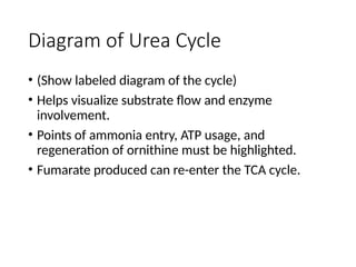 Transamination , Deamination and urea cycle ppt | PPTX
