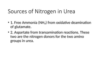 Transamination , Deamination and urea cycle ppt | PPTX