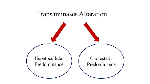 transaminitis11.pptx