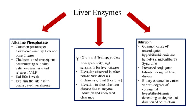 transaminitis11.pptx
