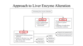 transaminitis11.pptx