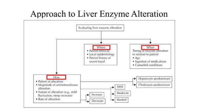 transaminitis11.pptx