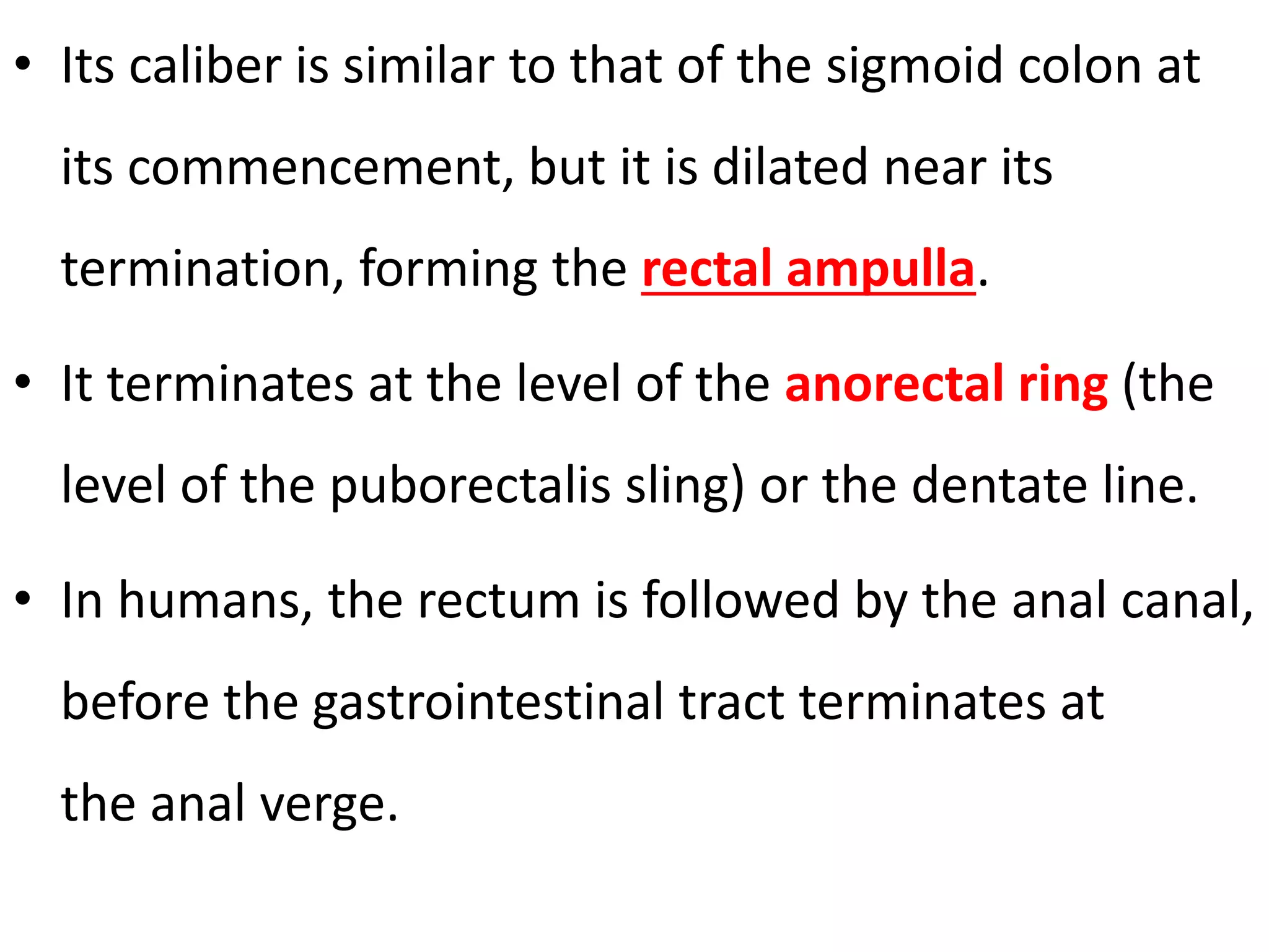 Transanal total mesorectal excision | PPTX