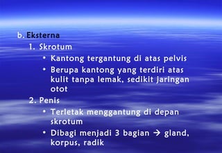 Trans anfis alat reproduksi pria | PPT
