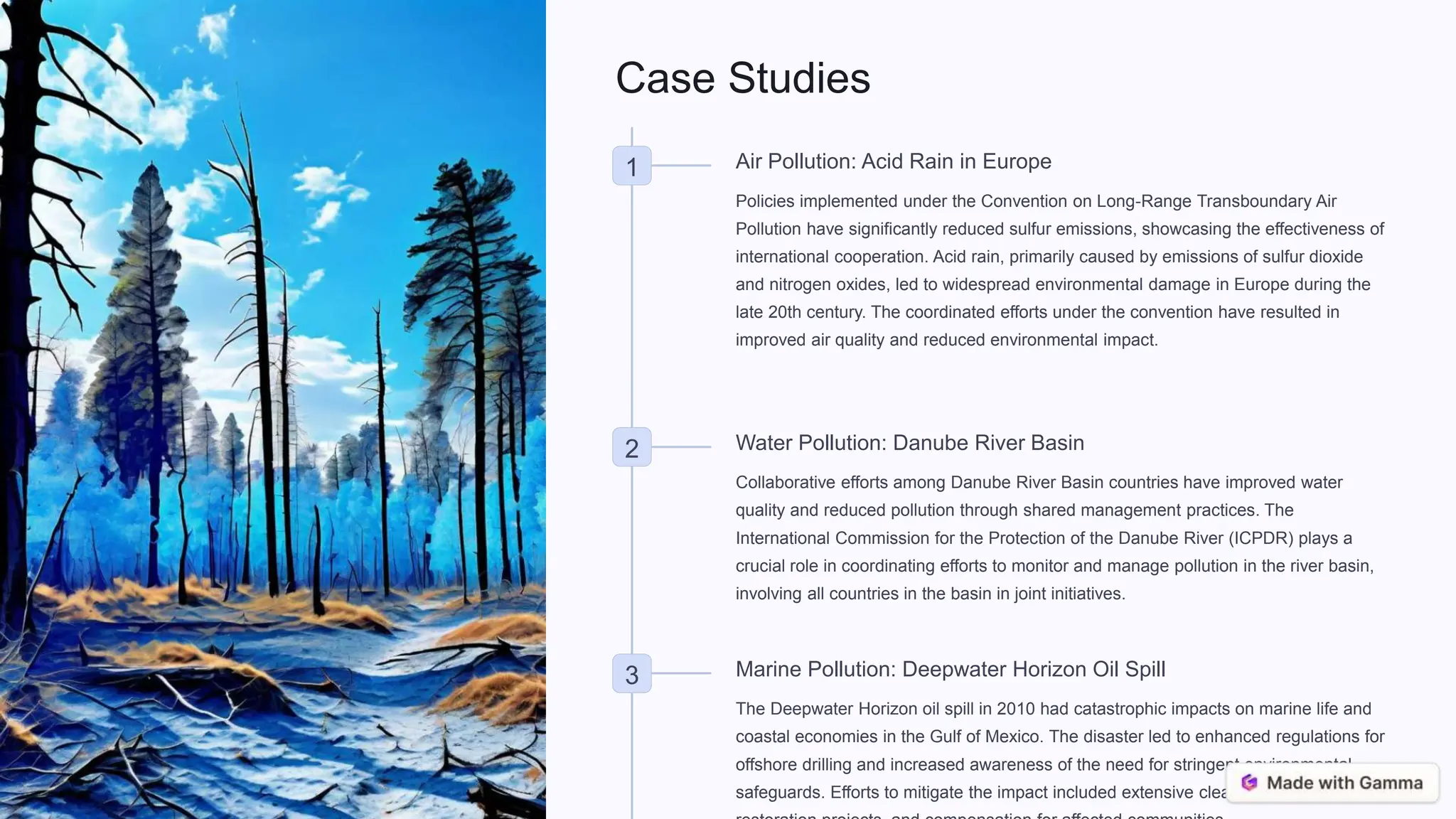 Transboundary-Pollution-A-Global-Challenge.pptx