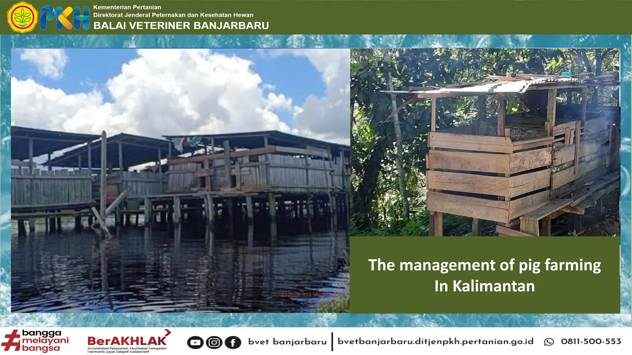 TRANSBOUNDARY ANIMAL DISEASES IN KALIMANTAN-DR.PUTUT EKO WIBOWO.pdf