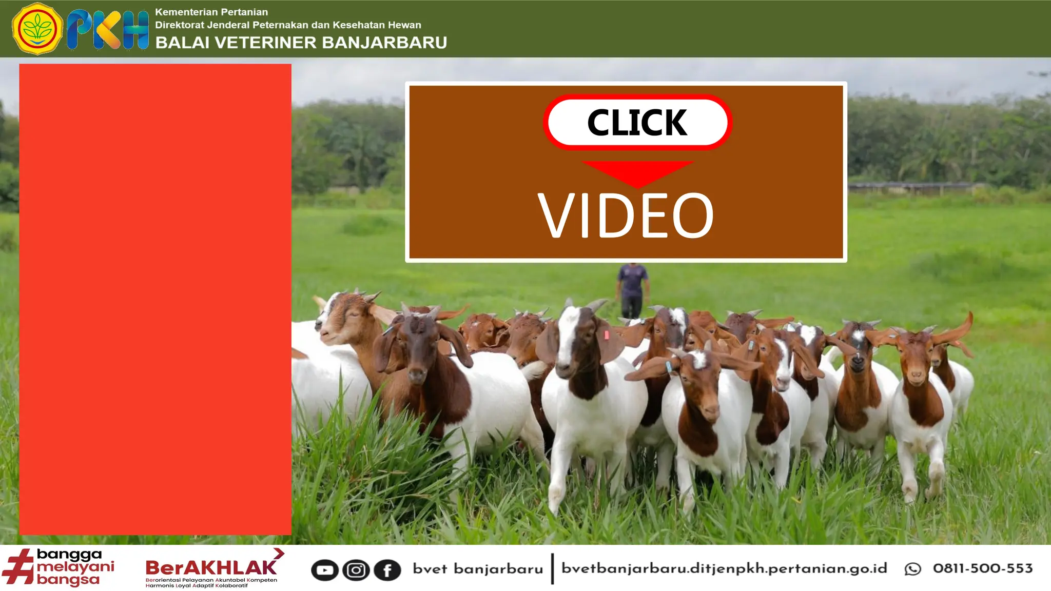 TRANSBOUNDARY ANIMAL DISEASES IN KALIMANTAN-DR.PUTUT EKO WIBOWO.pdf