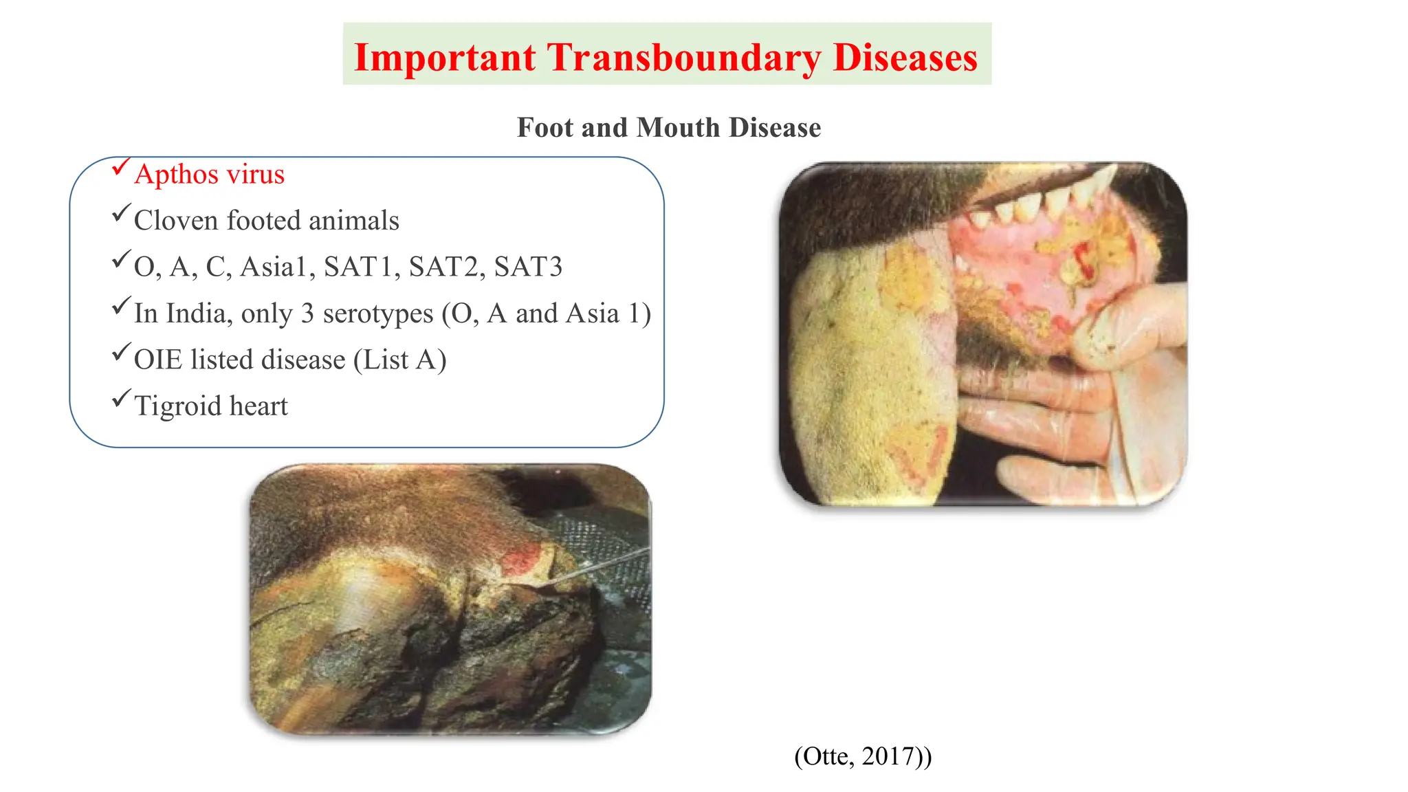 Transboundary diseases and their control | PPT