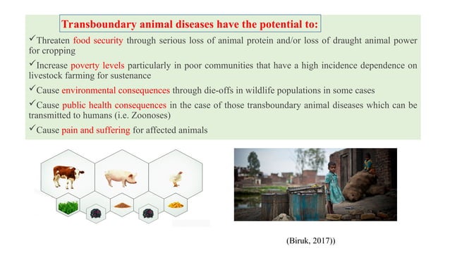 Transboundary diseases and their control | PPT