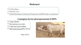 Transboundary diseases and their control | PPT