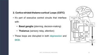Transcranial Magnetic Stimulation: Principles and Mechanisms | PDF