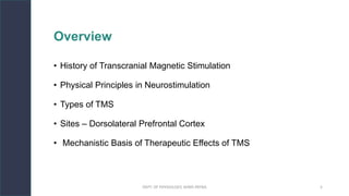 Transcranial Magnetic Stimulation: Principles and Mechanisms | PDF