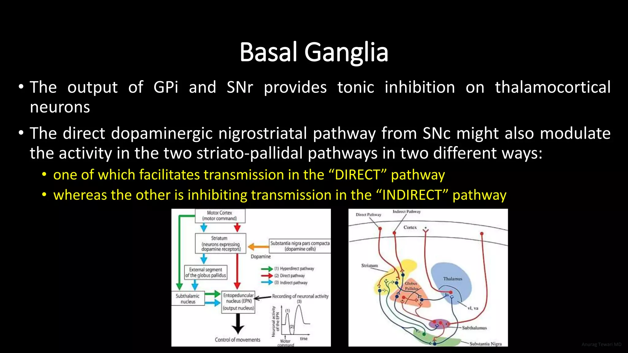 Basic Anatomy for Trans-cranial Motor Evoked Potentials Monitoring | PPTX