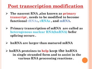 Post tRANSCRIBTION molecular biology.pdf