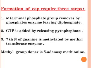 Post tRANSCRIBTION molecular biology.pdf