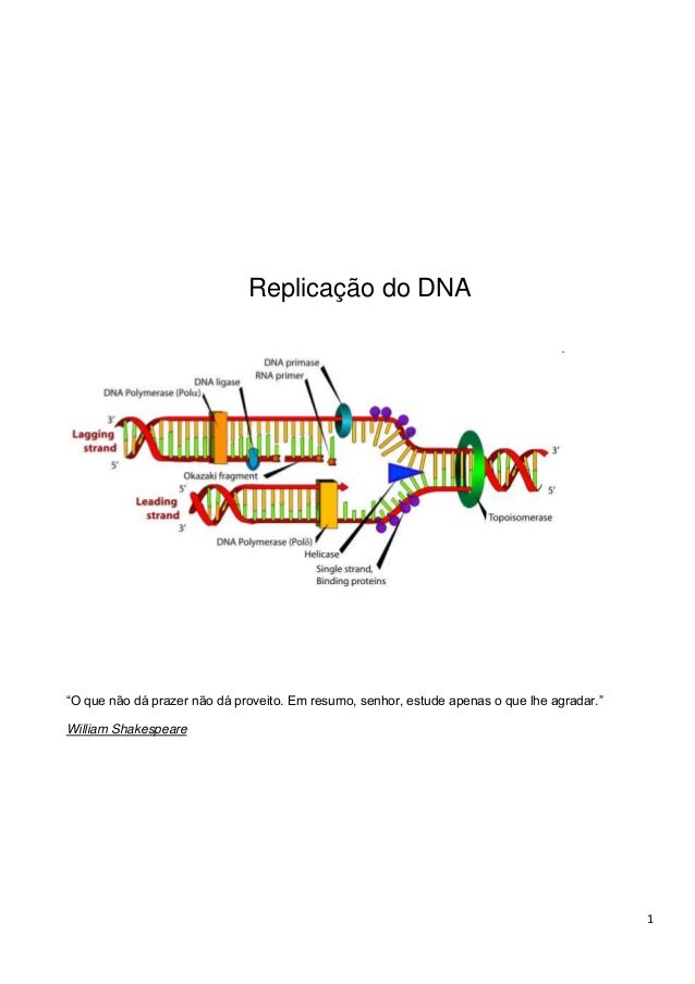 Replicação do DNA