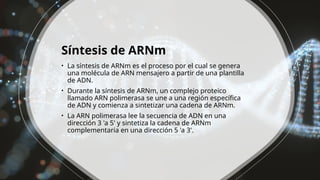 Proceso de síntesis de ARN a partir de ADN - Transcripción | PPTX