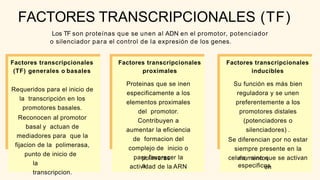 transcripción del ADN o Síntesis del ARN mensajero.pptx