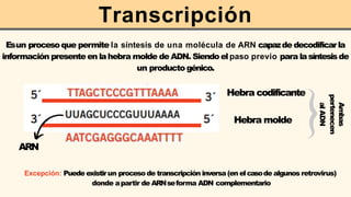 transcripción del ADN o Síntesis del ARN mensajero.pptx