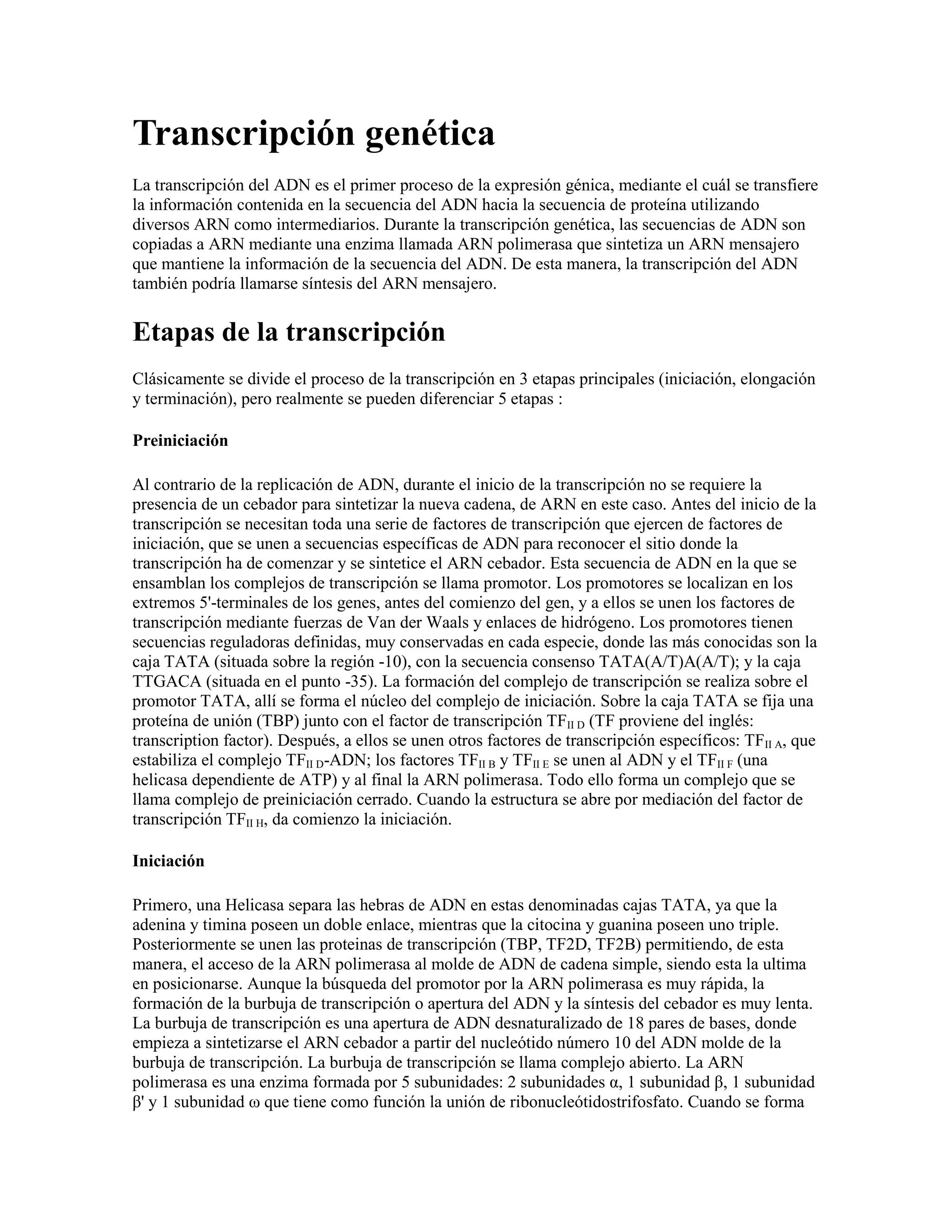 Transcripción genética | DOCX