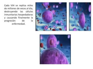Transcripción inversa | PPTX