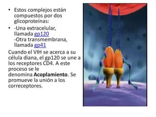 Transcripción inversa | PPTX