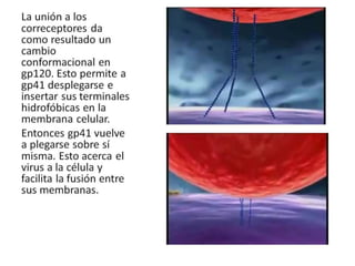 Transcripción inversa | PPTX