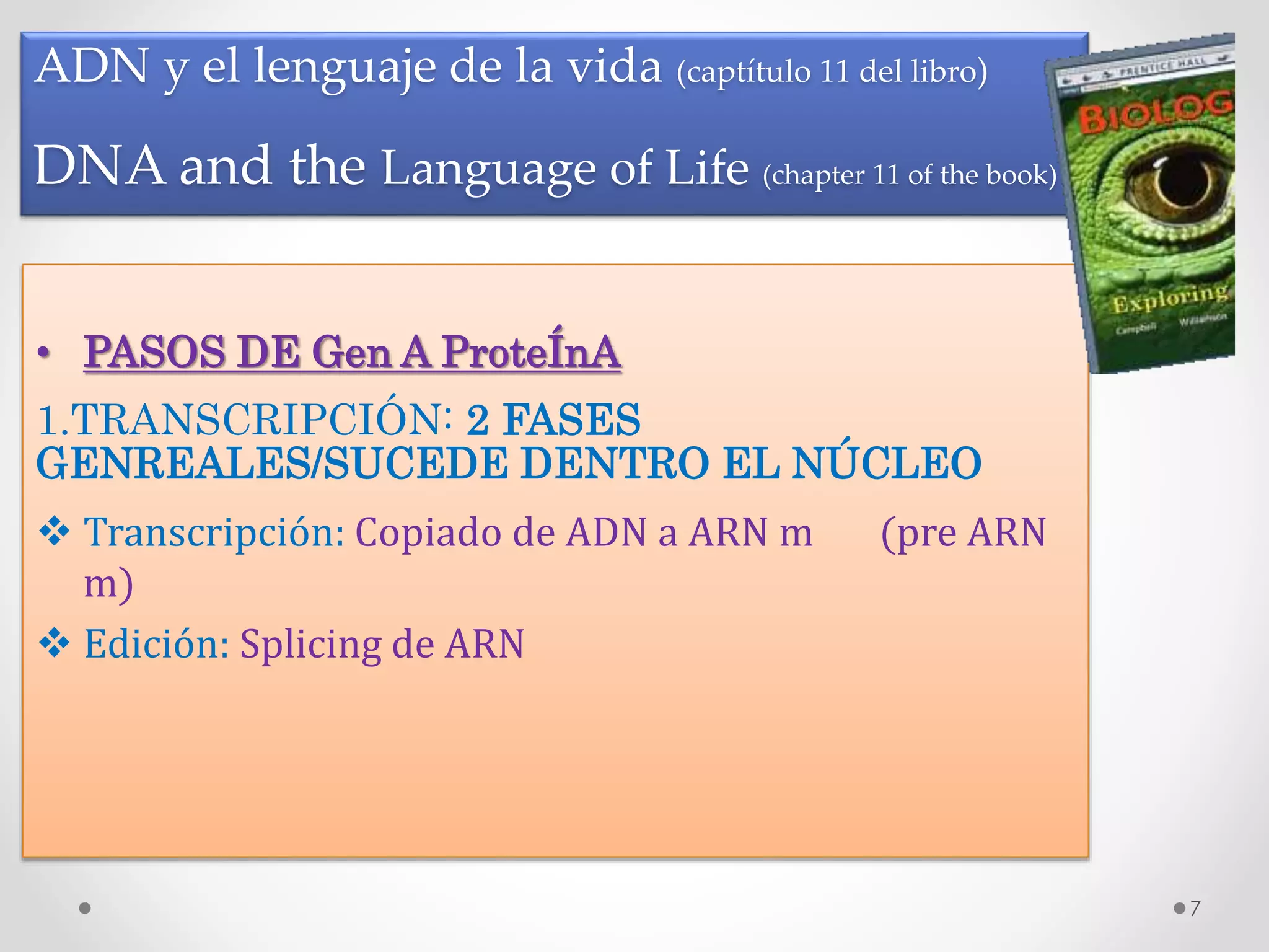Sintesis De Proteínastranscripción Y Traducción De Adn Ppt