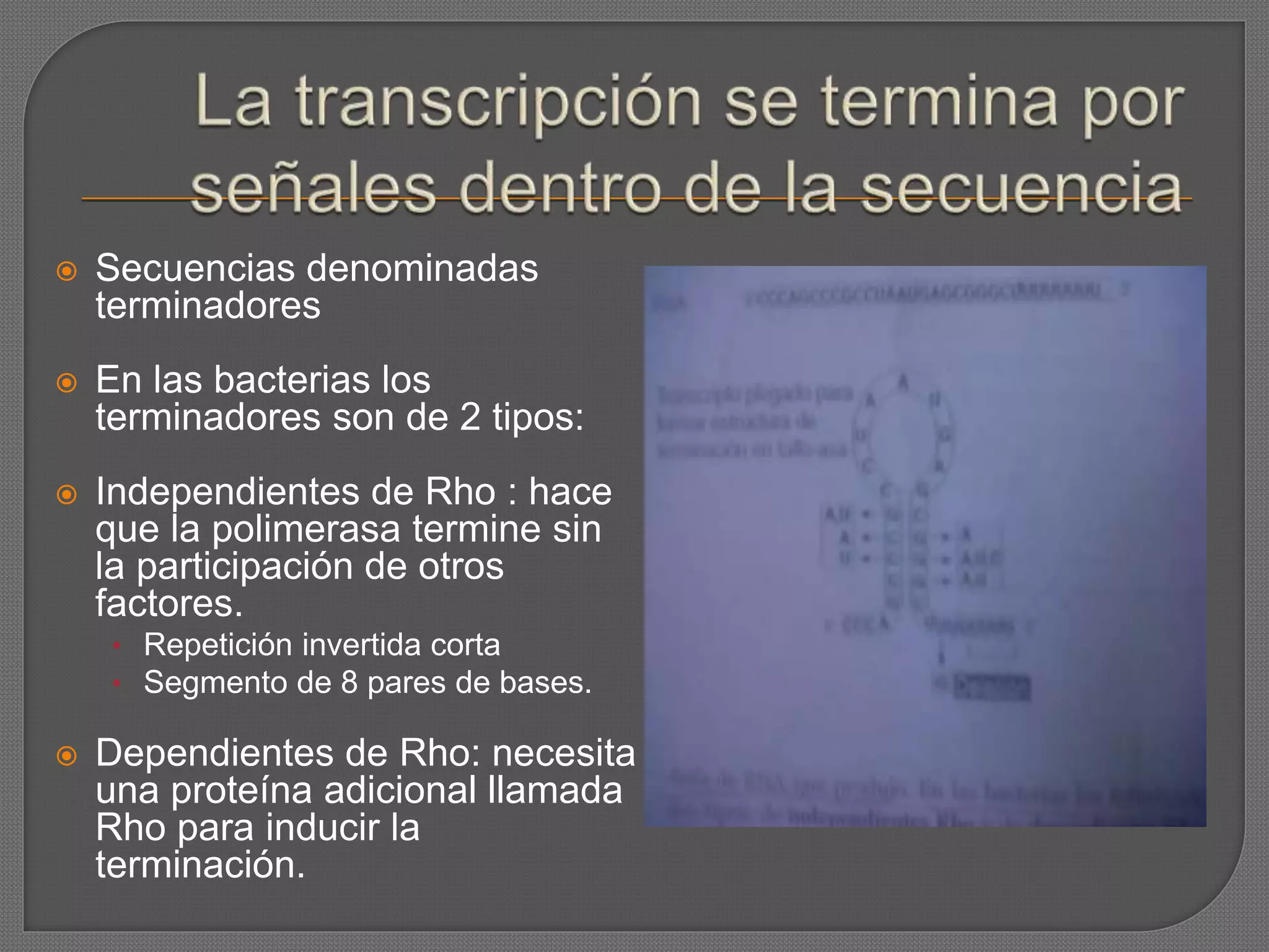 Transcripcion | PPTX