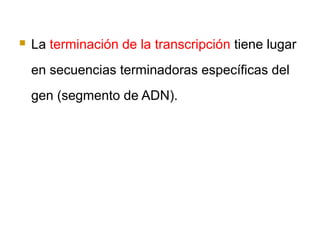 Transcripcion del ADN y traduccion del ARNm | PPT