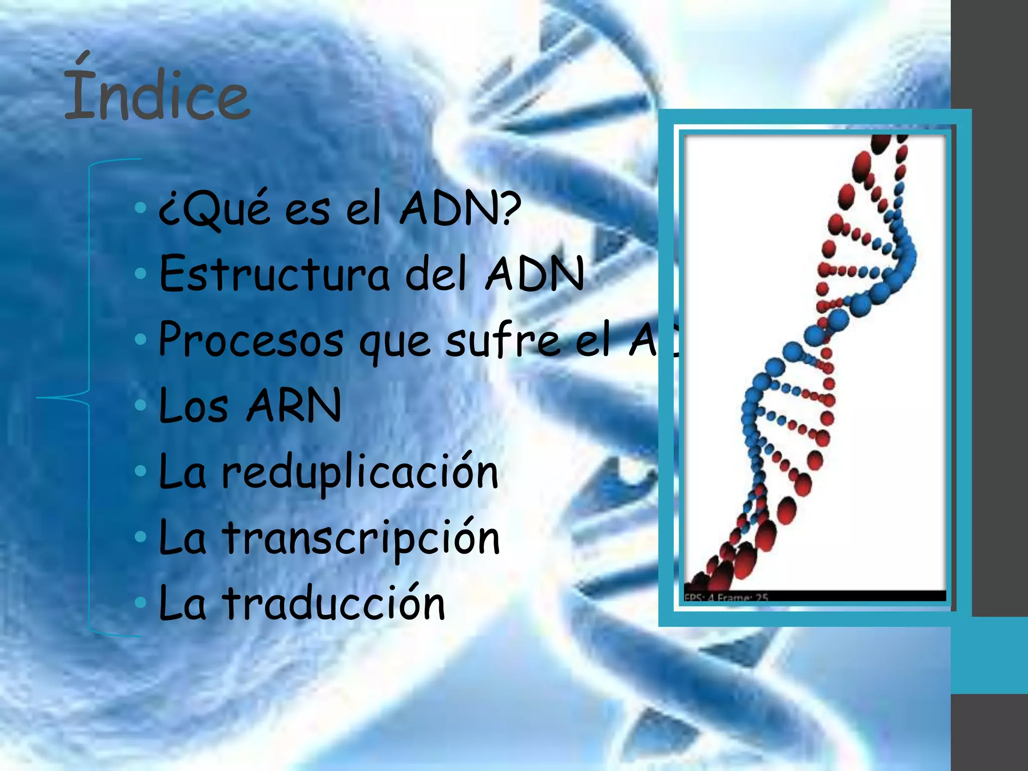 Transcripcion Y Traduccion Del Adn Ppt