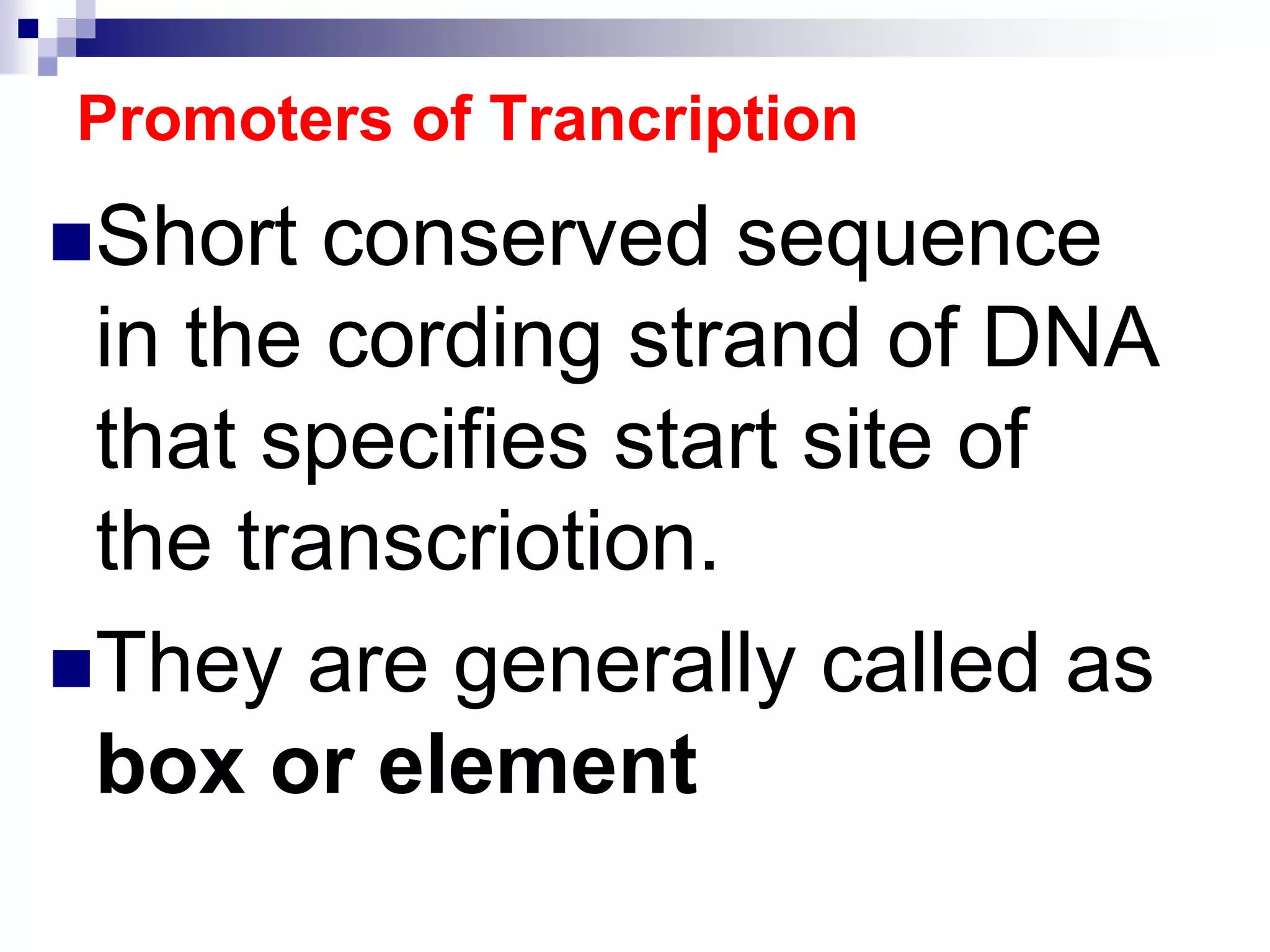 Transcripion | PPT