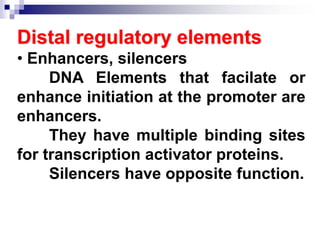 Transcripion | PPT