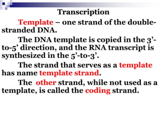 Transcripion | PPT
