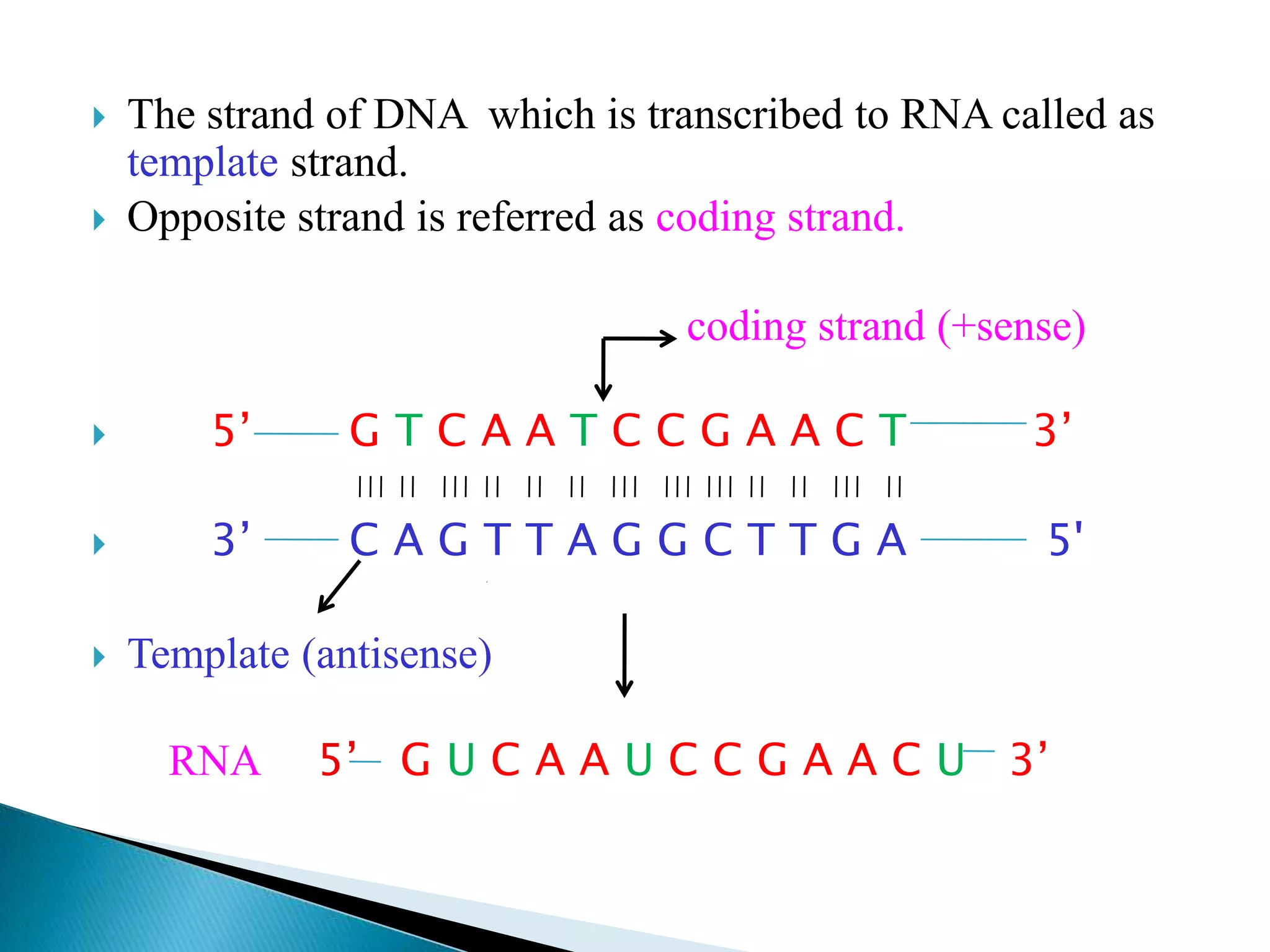 Transcription | PPTX